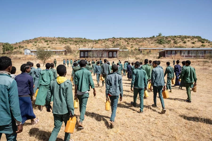 Aufforstungen in Fogera: Natur und Menschen schützen | Stiftung Menschen für Menschen Schweiz