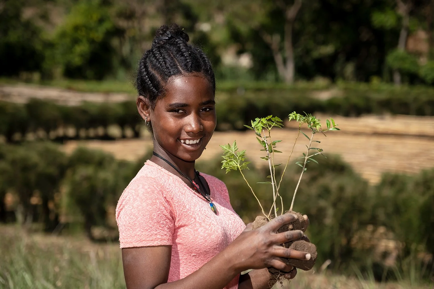 What we do for climate protection | Foundation Menschen für Menschen ...